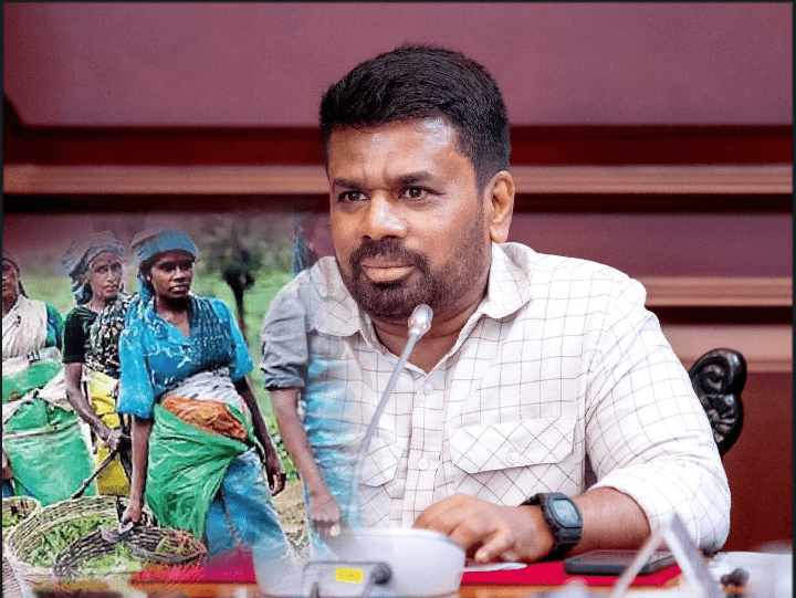 වතු ජනතාවගෙන් ජනාධිපතිවරයාට ප්‍රශංසා! - LNW Sinhala