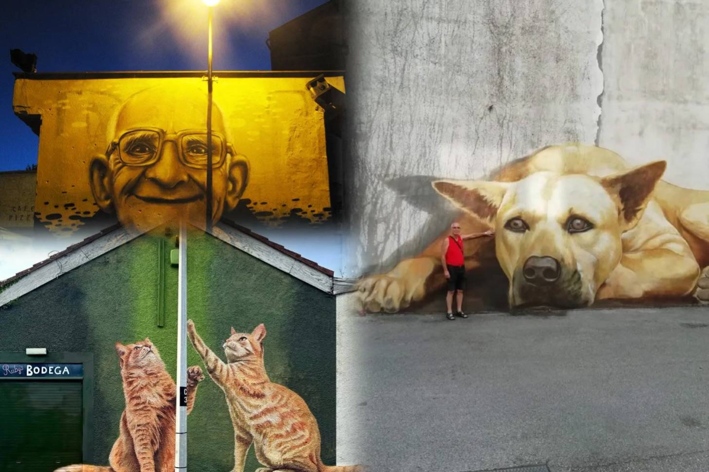 වීදිය ගල්, වැලි වලින් ගොඩ නැඟුවද ඊට පාටක් එක් කරන වීදි කලාව! - LNW Sinhala